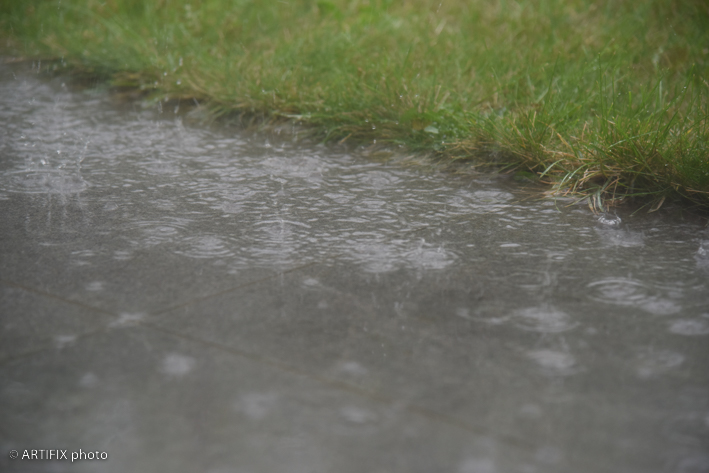 Hoe ga je best om met regenwater? - Tuincenter Claes